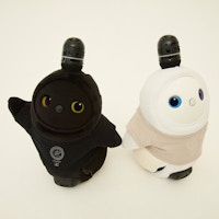 CLANE×FRAGMENT LOGO TEE(ブラック) | LOVOT ウェブストア