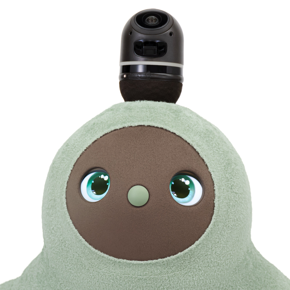 らぼはな（カラーズ5色） | LOVOT ウェブストア